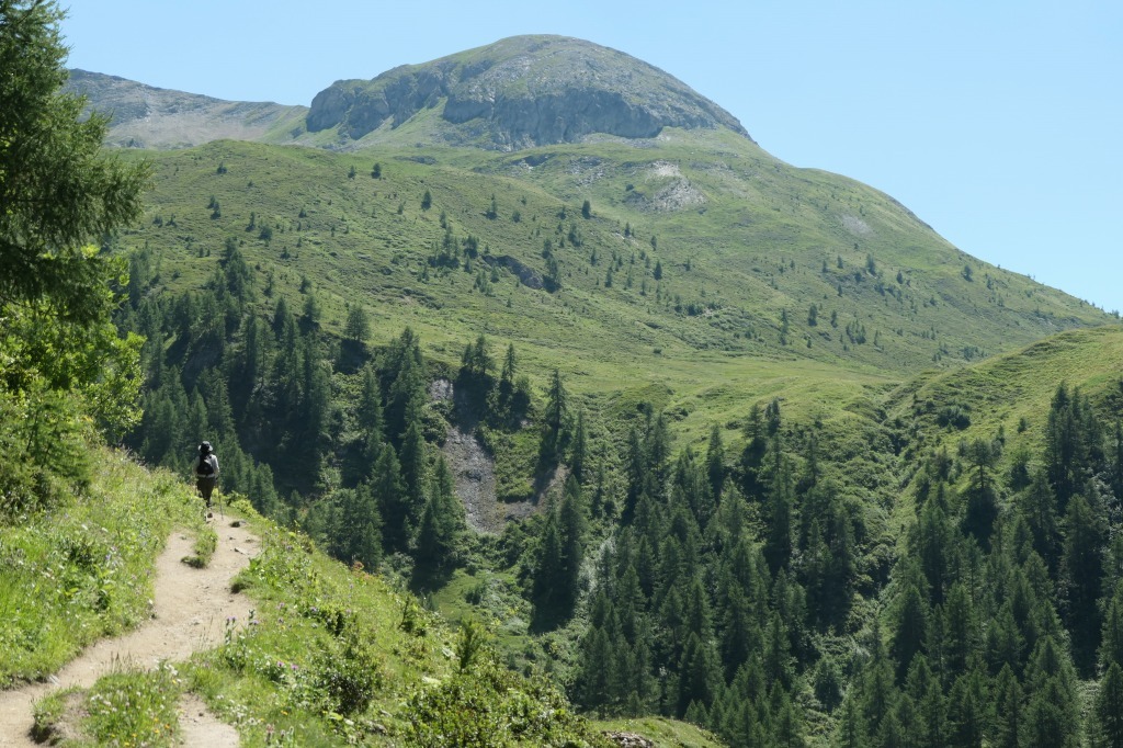 フェレ谷の展望コース: 「夫婦で歩くスイスアルプス」ブログ